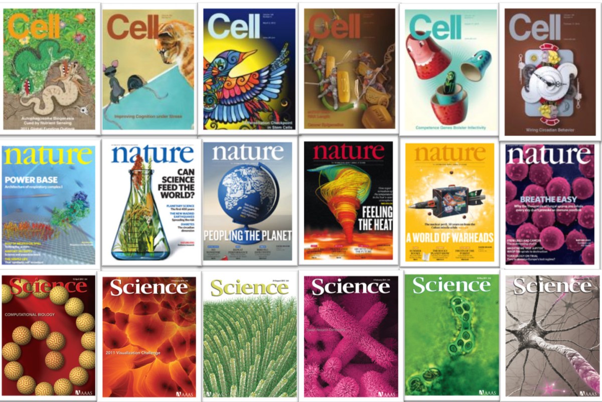 Dissecting the Scientific Paper – The Jaguar