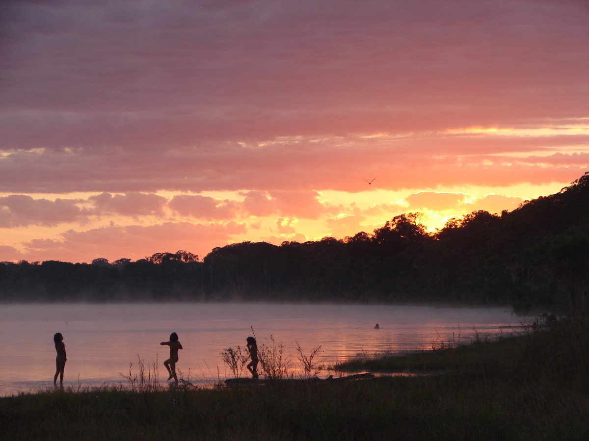 Q&A with Dr. Silvio Marchini: The Human Dimensions of Conservation ...